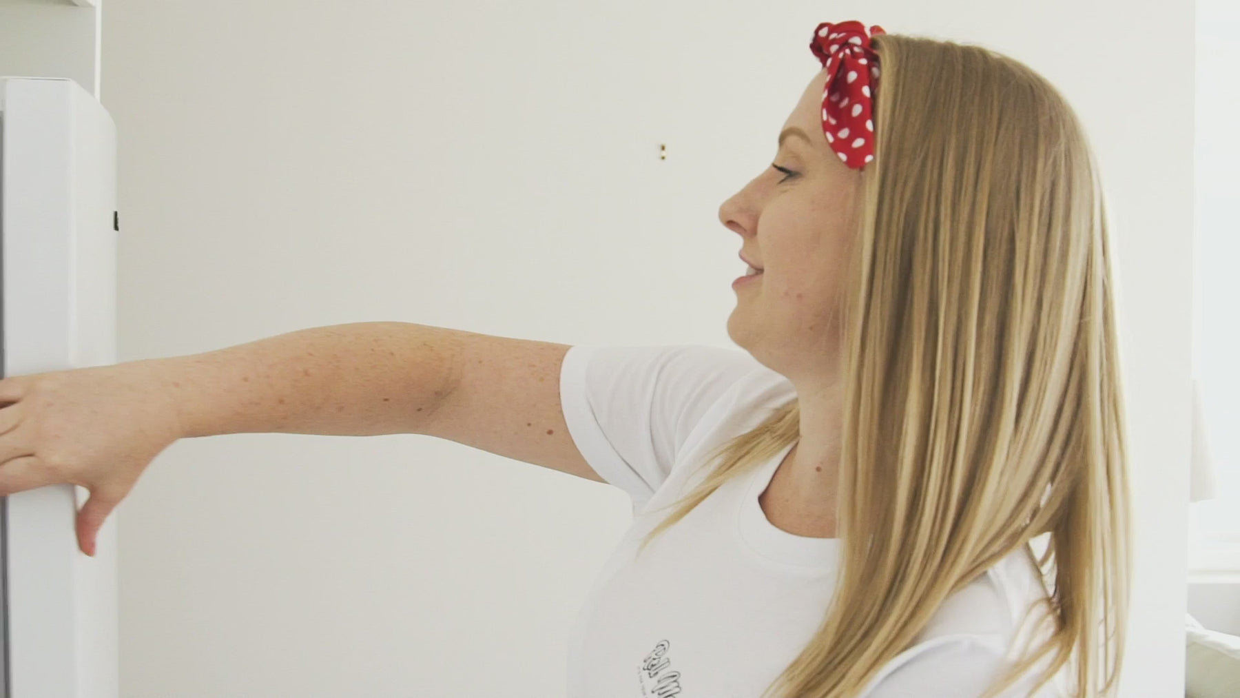 Roll Mate - The Essential Dog Roll Container – www.rollmate.com.au